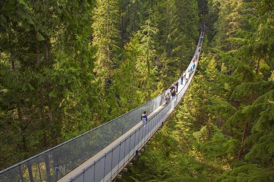 Capilano Suspension Bridge Park, cómo llegar desde Vancouver y qué ver