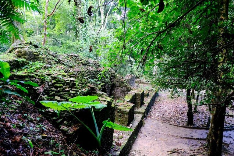 Palenque, guía de qué ver y cómo llegar. Chiapas, México